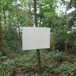 Kunst hält Hof – Martin Domagala